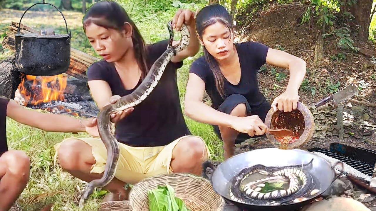 Amazing! Catching Snake and Cooking Snake Soup for Survival Food + More ...