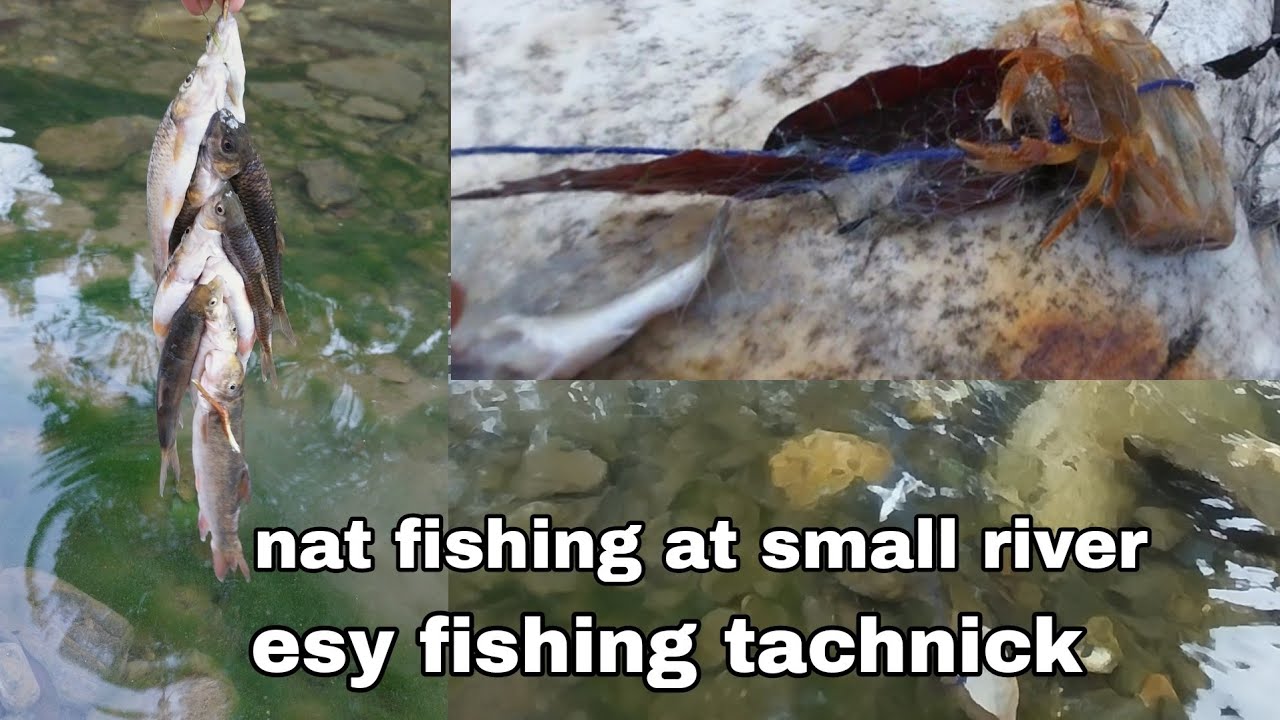 esy fishing tachnick off uttrakhand small river। मछली मारने का आसान ...