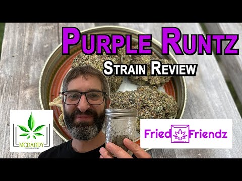 Strain Review - Purple Runtz - Fried Friendz - YouTube