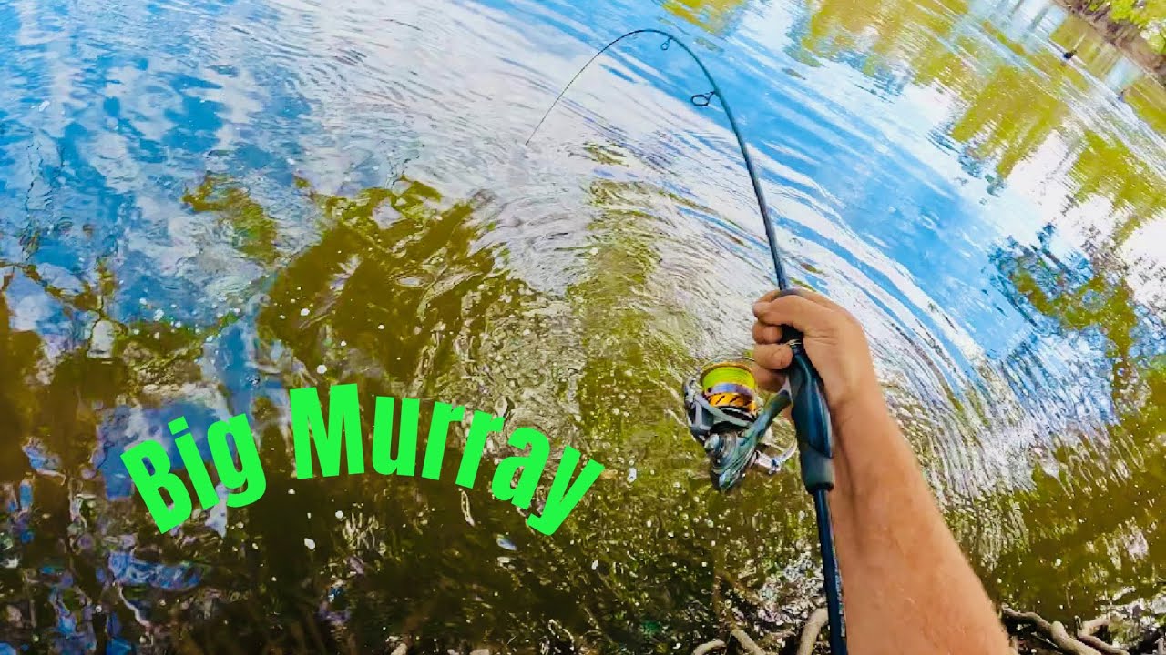 Picking Fights With BIG Freshwater Fish - YouTube