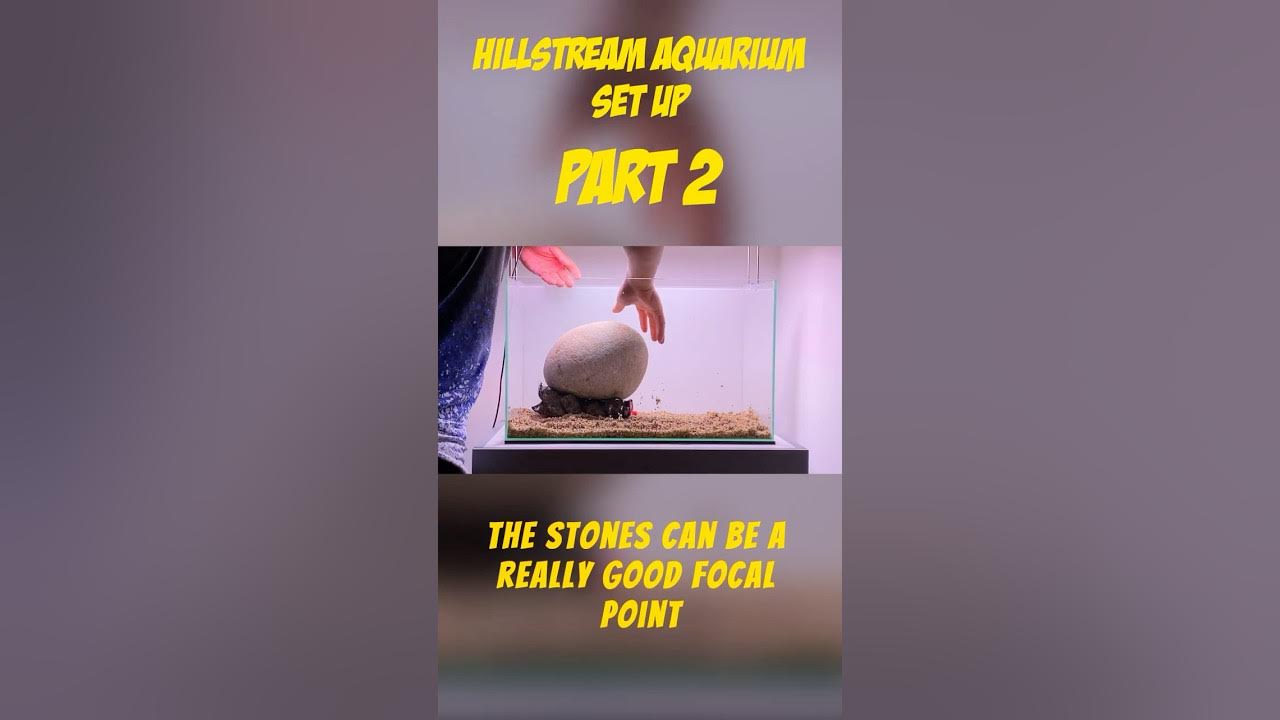 Hillstream Aquarium Set Up Part 2 - YouTube