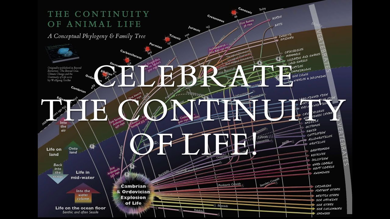 BEYOND EXTINCTION. The Eternal Ocean. Climate Change & the Continuity ...