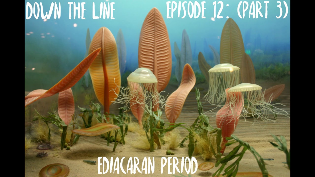 Episode 12: Proterozoic Eon (Part 4) - The Ediacaran Period - YouTube