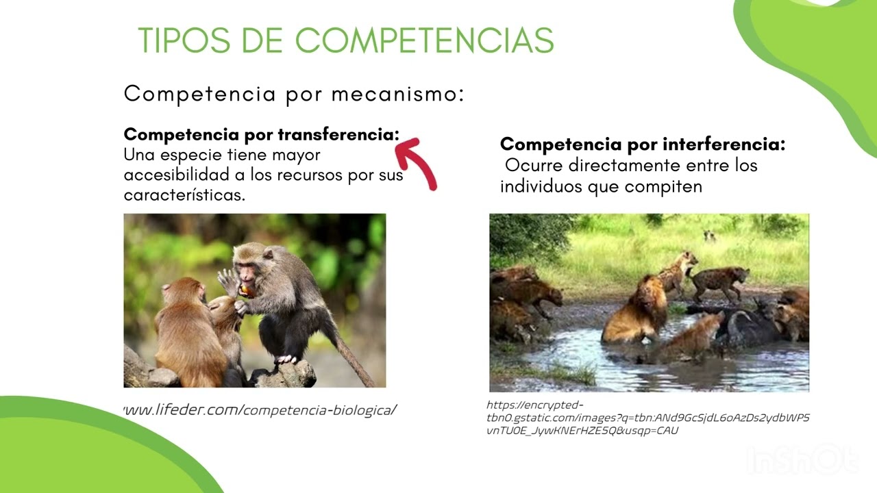Competencia Biologica
