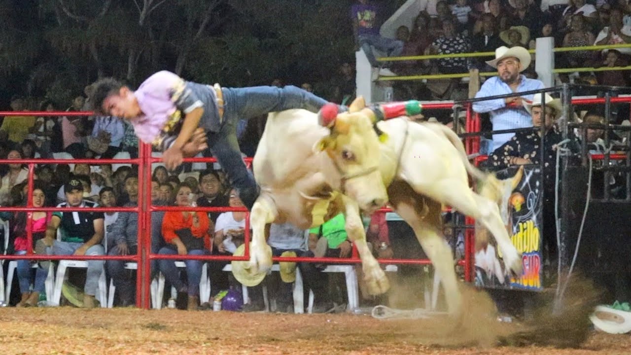 QUE BUENA TORADA DE Rancho El Tigre En Colotlipa Guerrero 2023 - YouTube