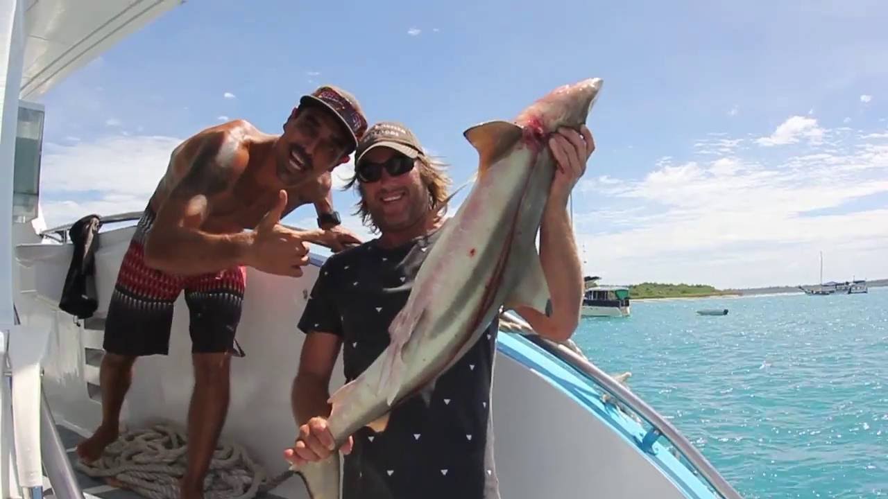 Farking Crew - YouTube