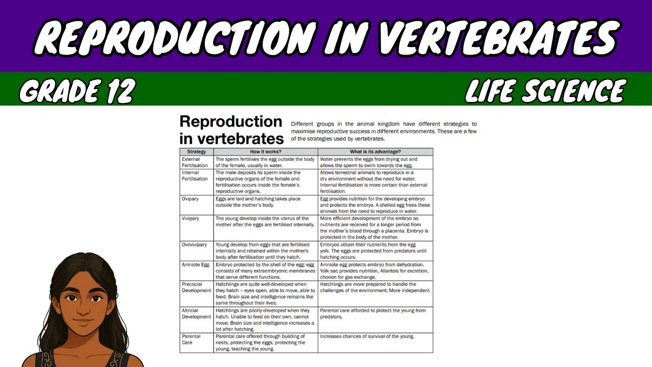 Reproduction in Vertebrates | Grade 12 Life Science - YouTube