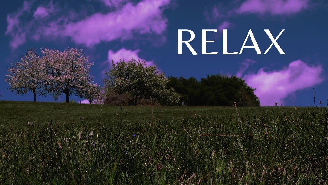 RELAXATION | Quantum Subliminal Healing - YouTube