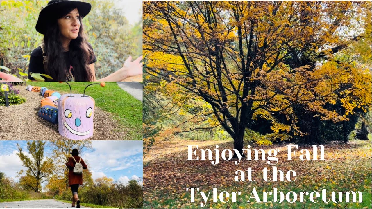 Fall Tour of the Tyler Arboretum in Media, PA! GORGEOUS Autumn Foliage ...