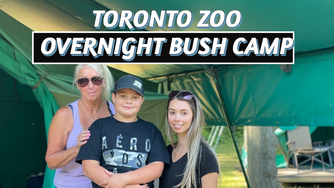 Experience the Ultimate Family Adventure: Overnight at the Toronto Zoo ...