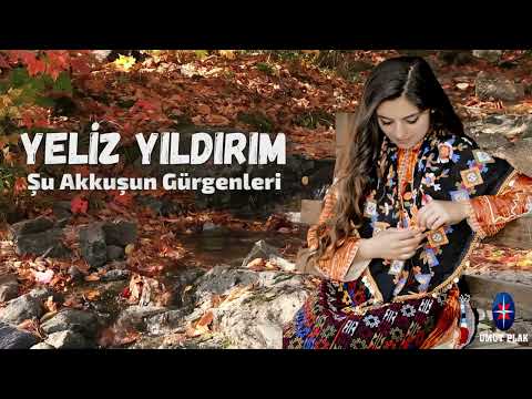 yeliz yıldırım \