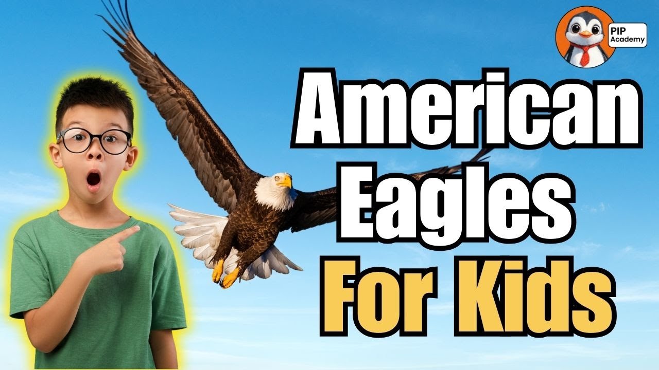 Learn About American Eagles! Bald Eagle Fun Facts for Kids! Interactive ...