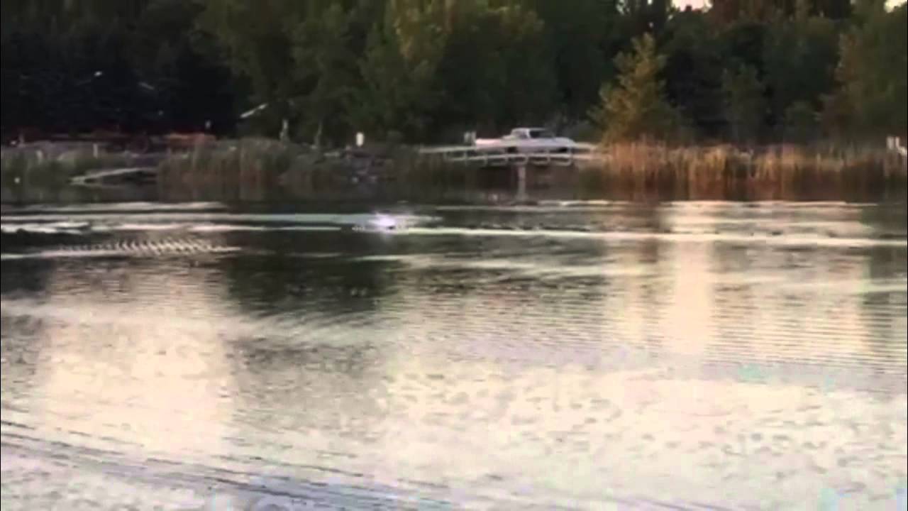 Mystic 29 4s seaking180 Leopard 4074 Dasboata 642 prop aired out - YouTube