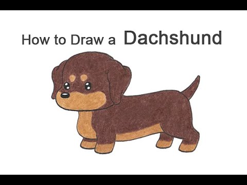 Drawing a Dachshund Dog (Cartoon) [Upd. 2 days ago]