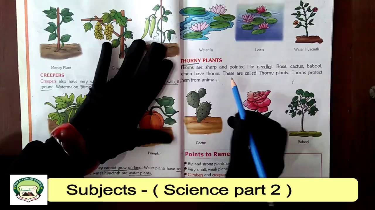 Class 2nd | Subject - Science Chapter 2 | Science Part 2 - YouTube
