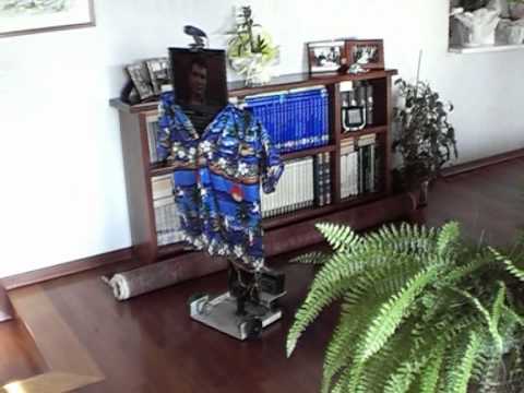 Mobile Virtual Presence Device - YouTube