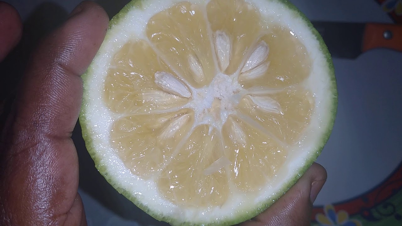 swibble orange spiritual an health benifit - YouTube