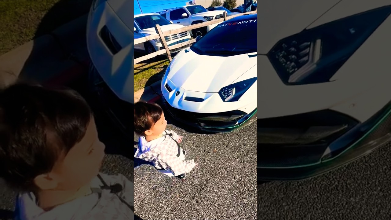 Caysen at a car show.#carswithcaysen#toddler#toddlersoftiktok#2yearsold ...