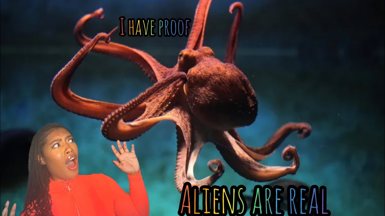 ALIEN PROOF YOU’VE BEEN LOOKING FOR! - YouTube