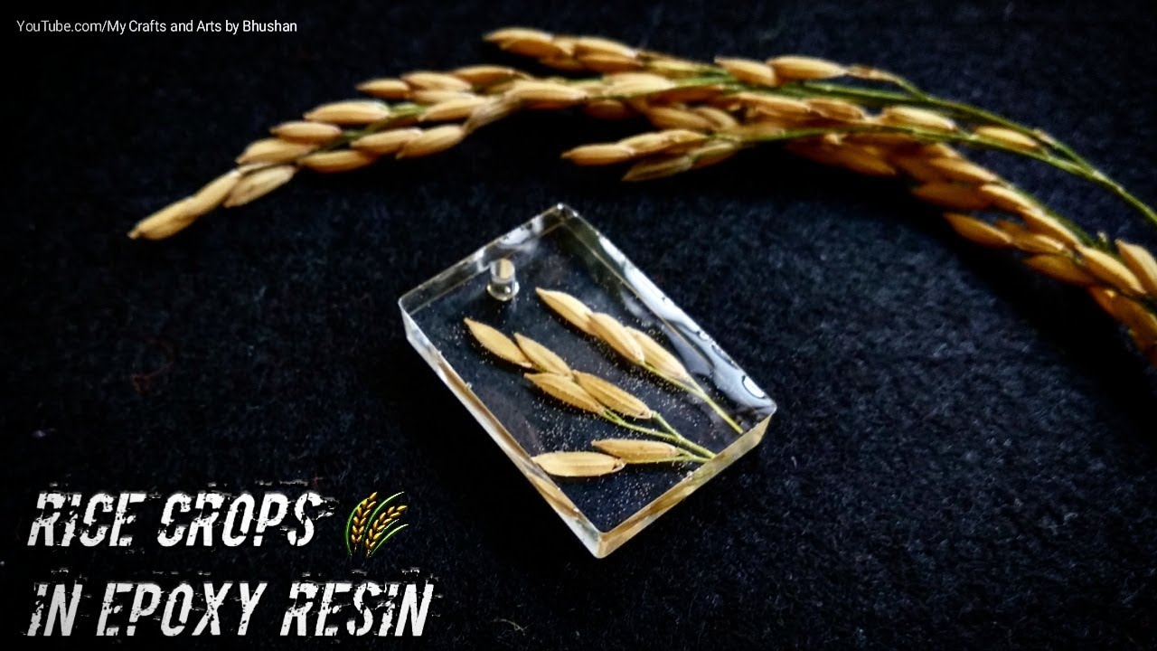 Rice crops in epoxy resin || DIY resin art - YouTube