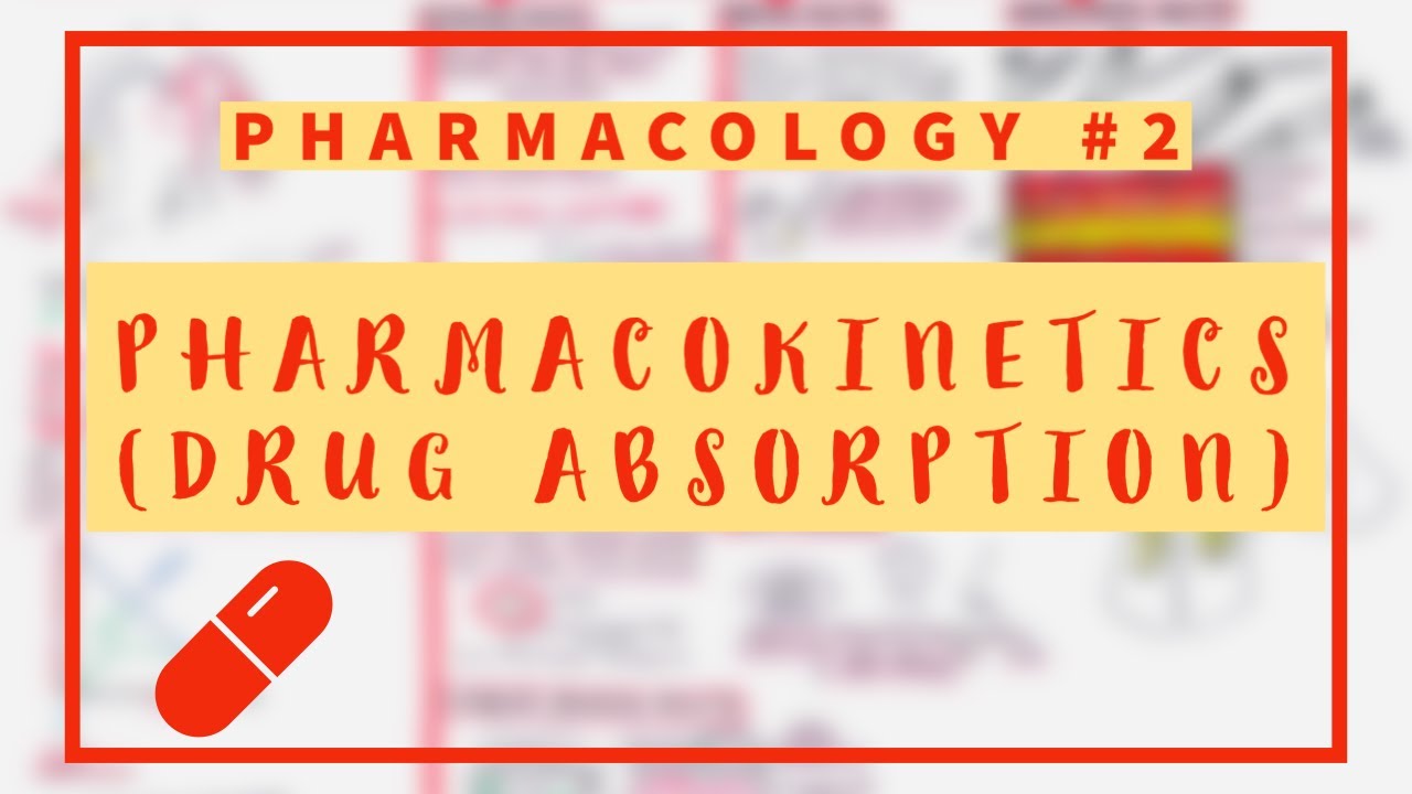 What Is Drug Absorption In Pharmacology at Edith Drum blog