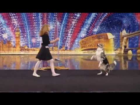 Tina and Chandi the amazing dancing dog on BGT 2010