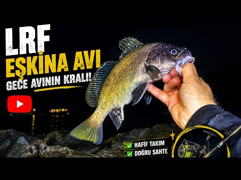 LRF CENNETİNİ BULDUM! 😱 LRF EŞKİNA AVI+ LRF İSTAVRİT AVI+ LRF İLE HANOS PATLADI!