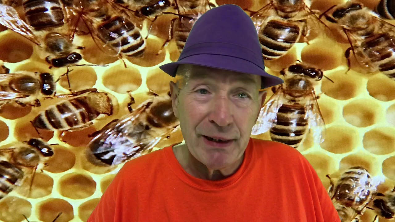 What kind of bees produce milk? Boo Bees;comedy;parody;ray sipe - YouTube