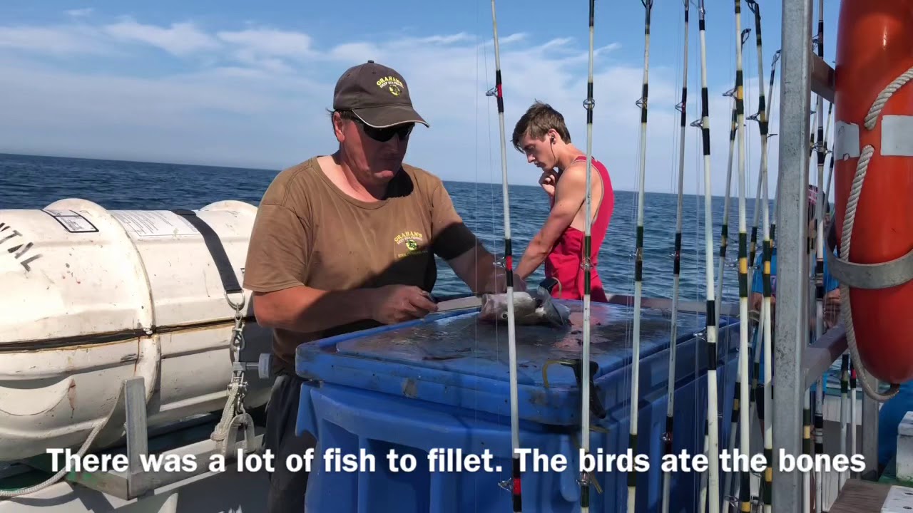Prince Edward Island part 4: deep sea fishing trip/ mackerel fishing ...