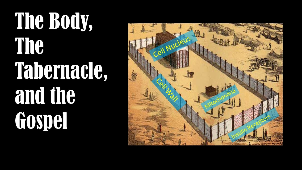 The Body, the Tabernacle, and the Gospel - YouTube