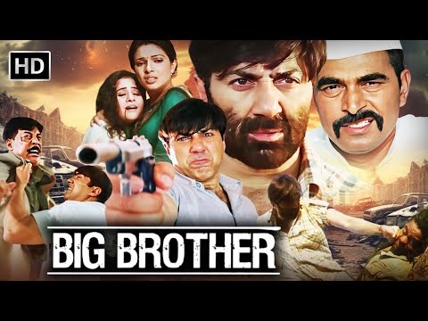 जब भाई बना जनता की आवाज़ 💥 | Big Brother Full Hindi Movie | Sunny Deol Vs Danny Denzongpa