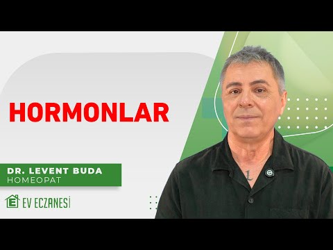 İnsan Vücudunda Hormonlar | Dr. Levent Buda