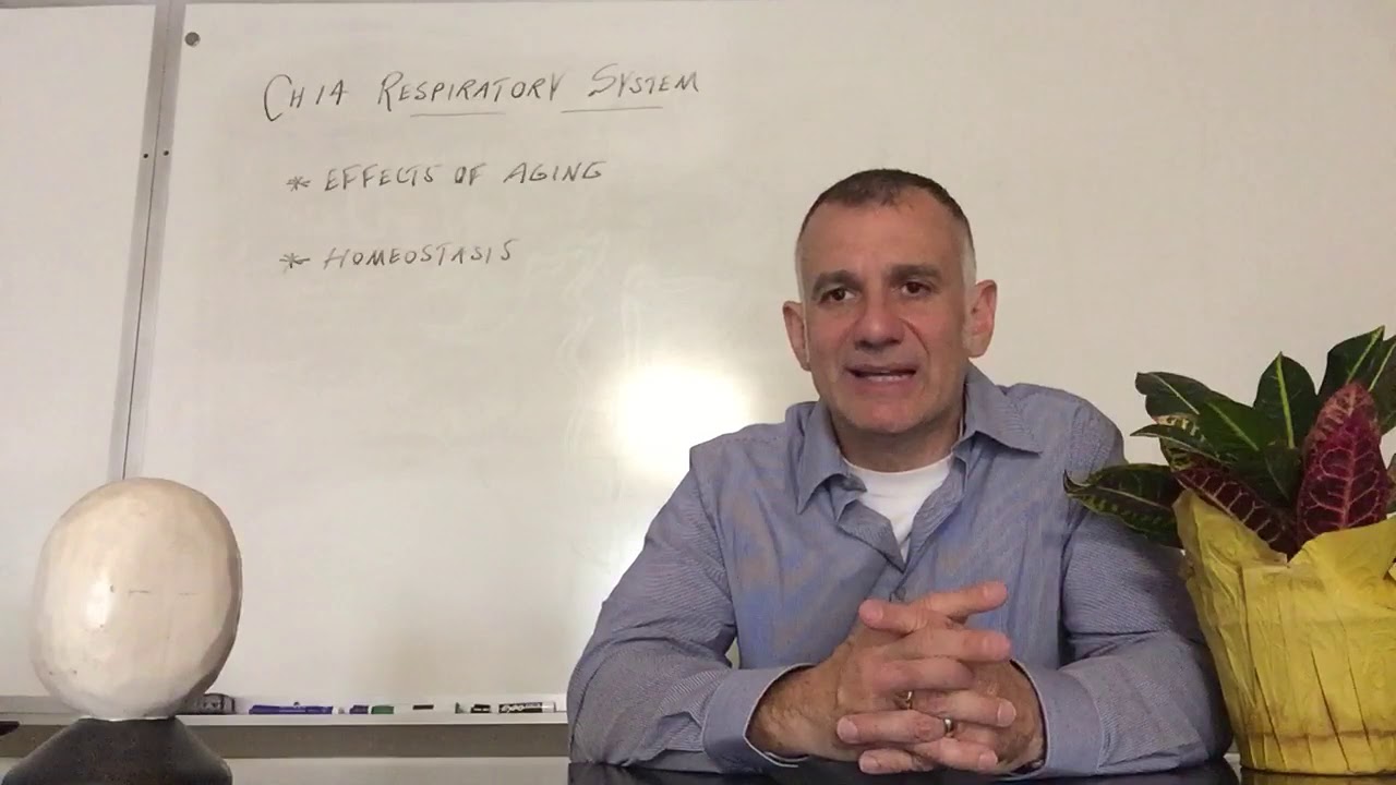 Mr. Spano A&P Exercise Science Chapter 14 Respiratory System lecture #4 ...