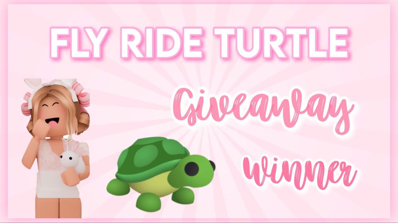 FLY RIDE TURTLE GIVEAWAY WINNER - YouTube