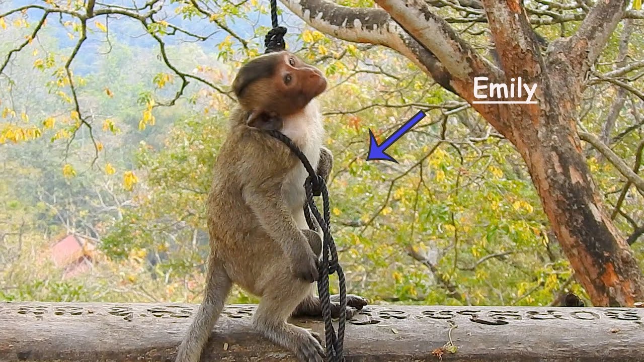 Busy baby Emily almost fail with the rope- Why baby Emily playing that ...