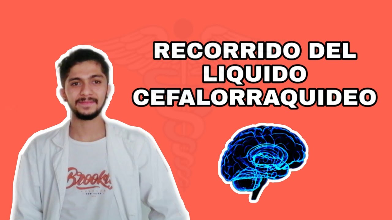 RECORRIDO DEL LIQUIDO CEFALORRAQUIDEO El Manual Del Instrumentador ...