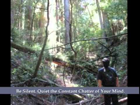 Paul Maul Quickie Wisdom Slideshow 3 - Quiet Your Mind - YouTube