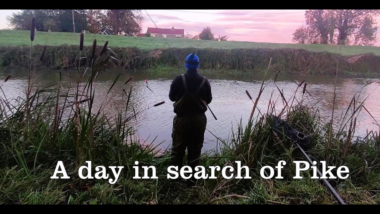 Pike Fishing UK : A day in search of Pike - YouTube