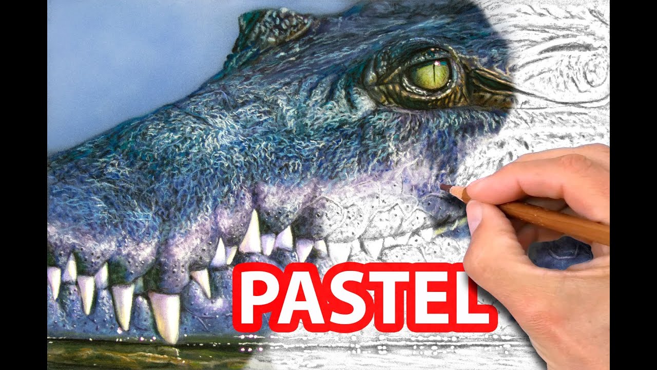 Realistic Crocodile Drawing With Colour