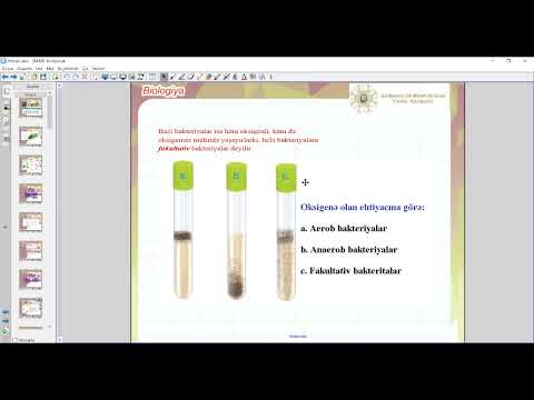 Biologiya Heyvanlar alemi      Camal Kerimov 1