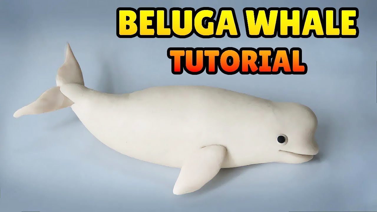 🔴 DIY How to Make BELUGA WHALE - Polymer Clay, plastilina and Fondant ...