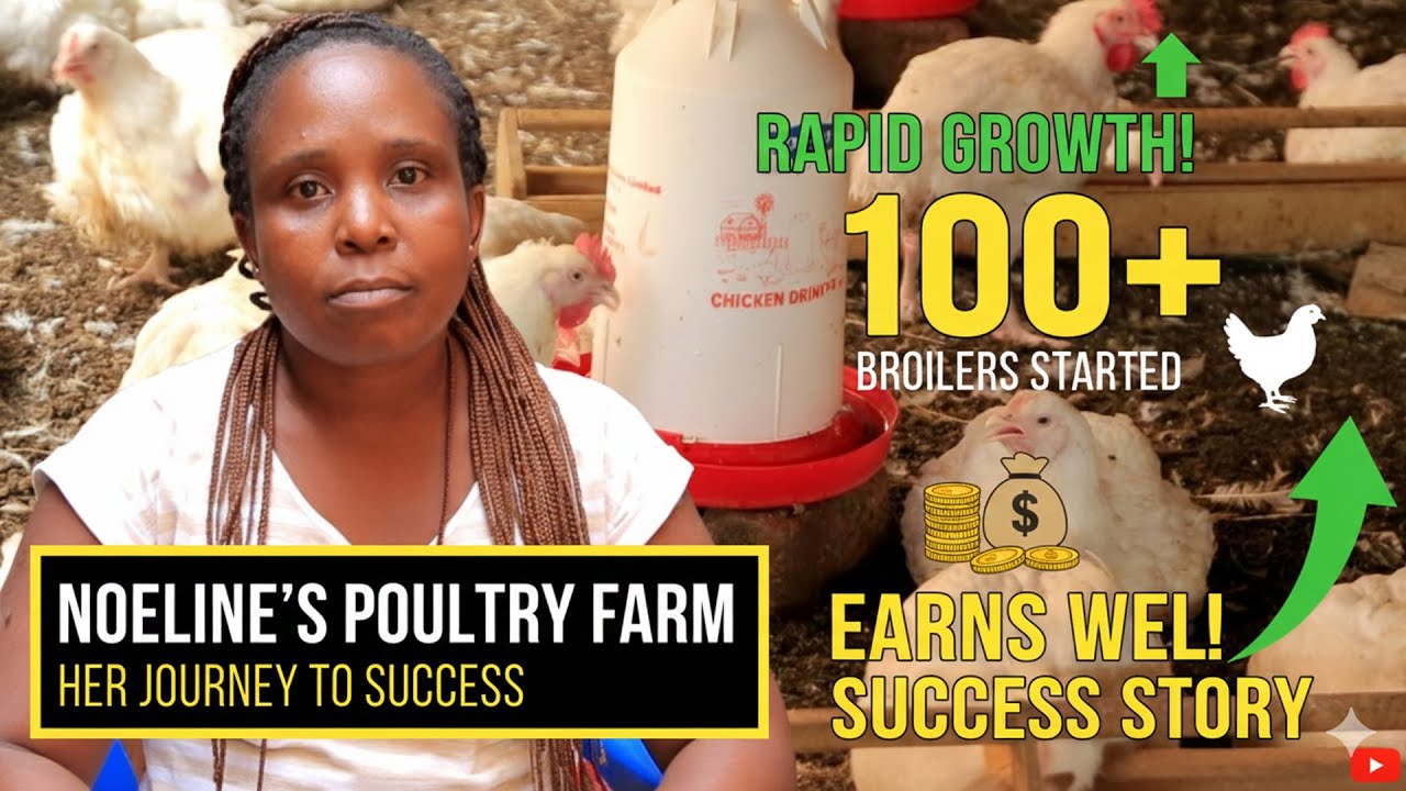 HOW SHE EARNS WELL | Starting a Poultry Farm with Only 100 Broilers ...