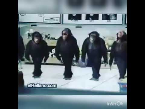 BÖYLE AKIM YOK AKIMIN EN SON VERSİYONU...