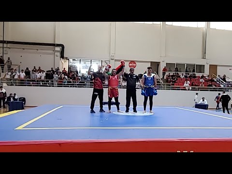 5 Th Open Balkan Wishu Kung-Fu Championships Finals