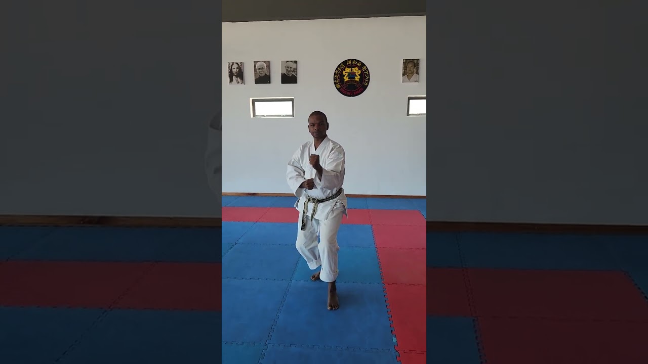 Kihon IDo Ni Neko Ashi Dachi - YouTube