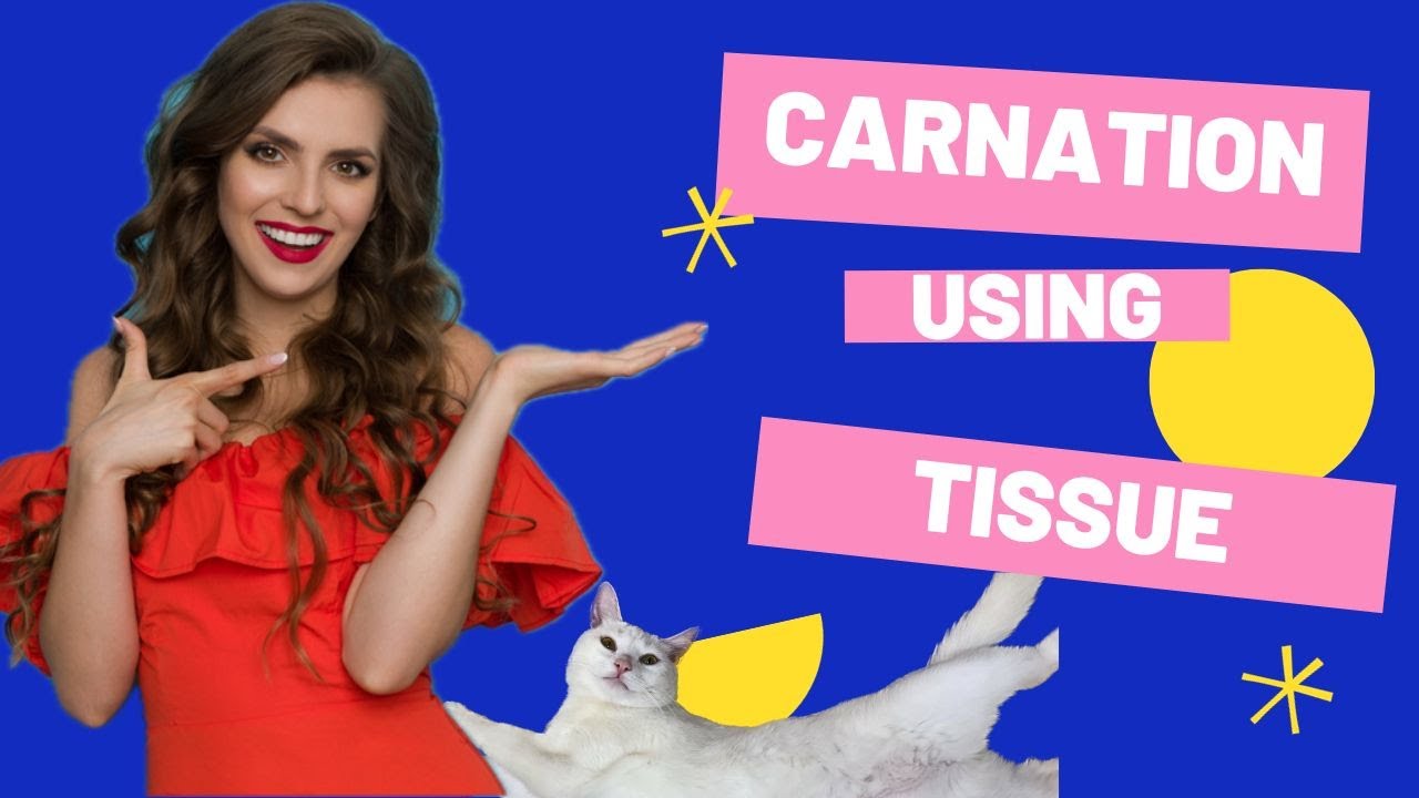 Easy and Fun Kids Craft to Do Making a Carnation from Facial Tissue ...