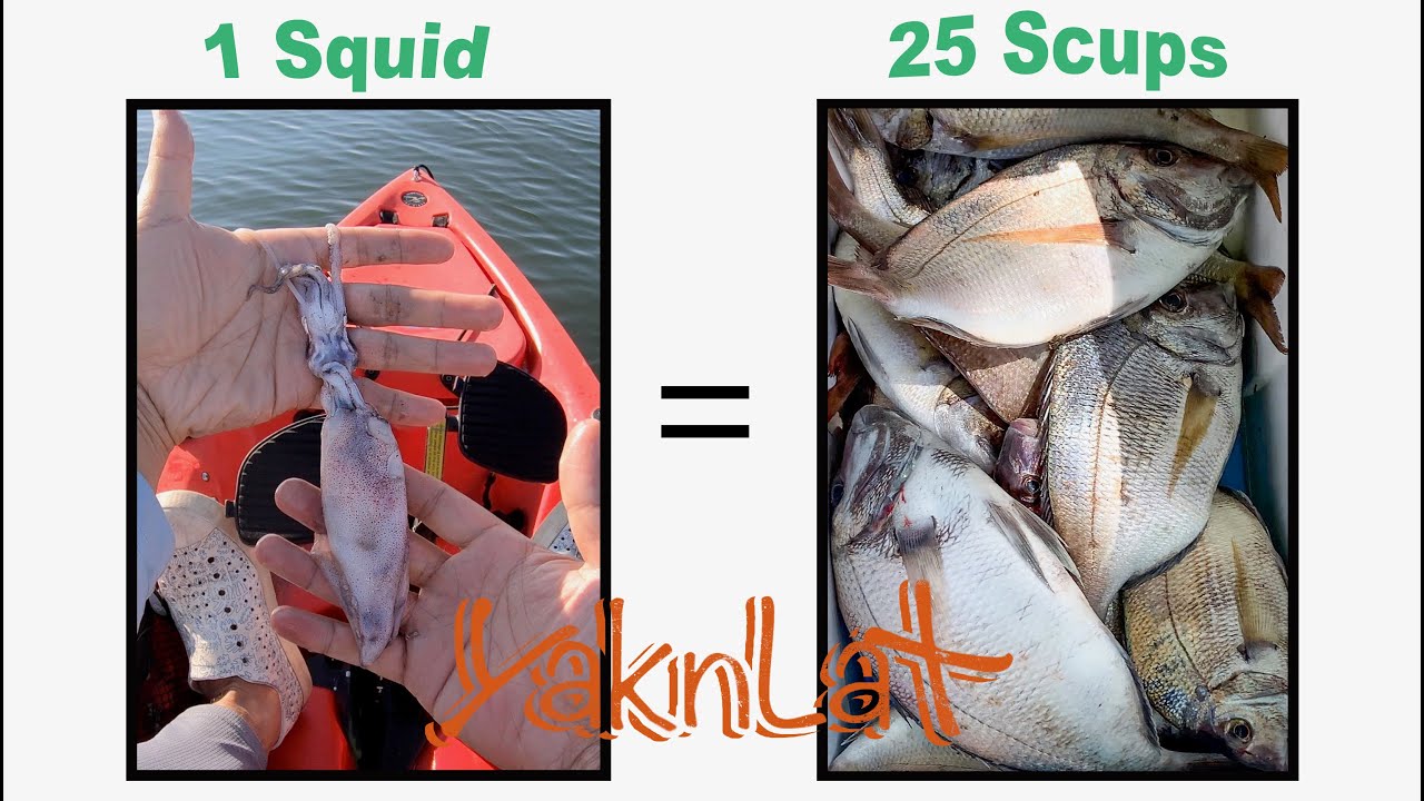 RI, Fishing for Jumbo Porgy ( Scup ), 7-25-2020 Hobie Sport Kayak ...