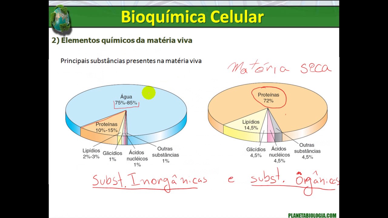 Bioquímica celular parte 1 - YouTube