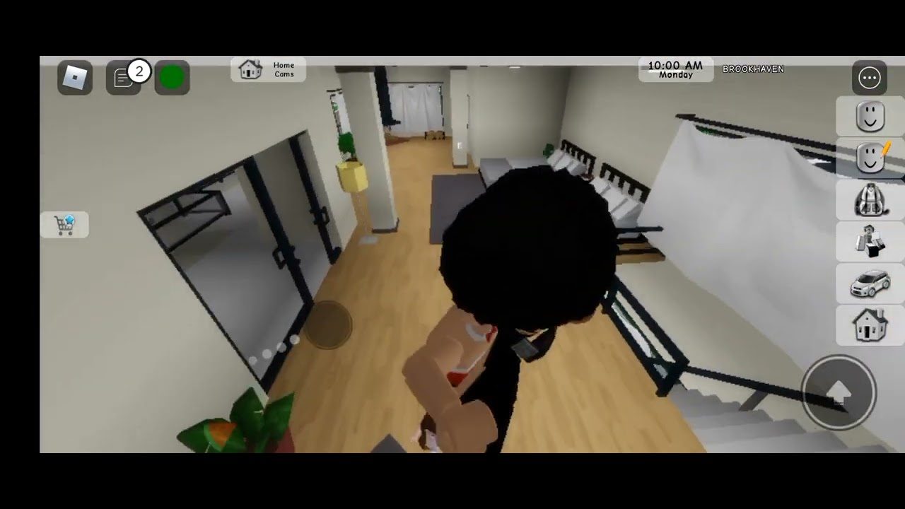 SLAY PURR BROOKHAVEN ROBBERS - YouTube