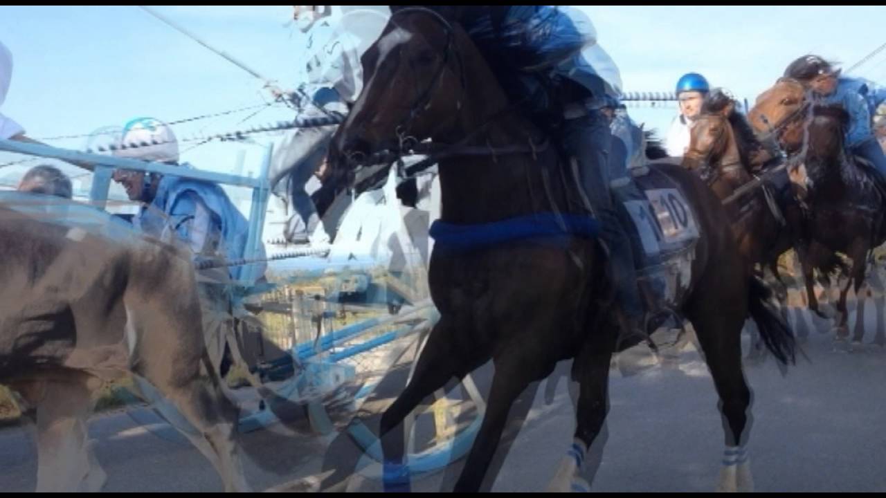 La CARRESE - San Martino in Pensilis (CB) - 30 aprile - YouTube